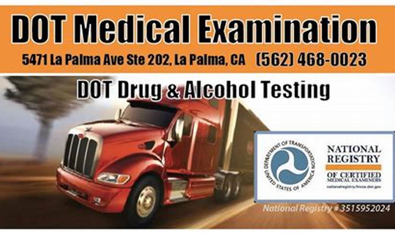 $80 DOT Physicals & Drug Tests: Get Certified Today!