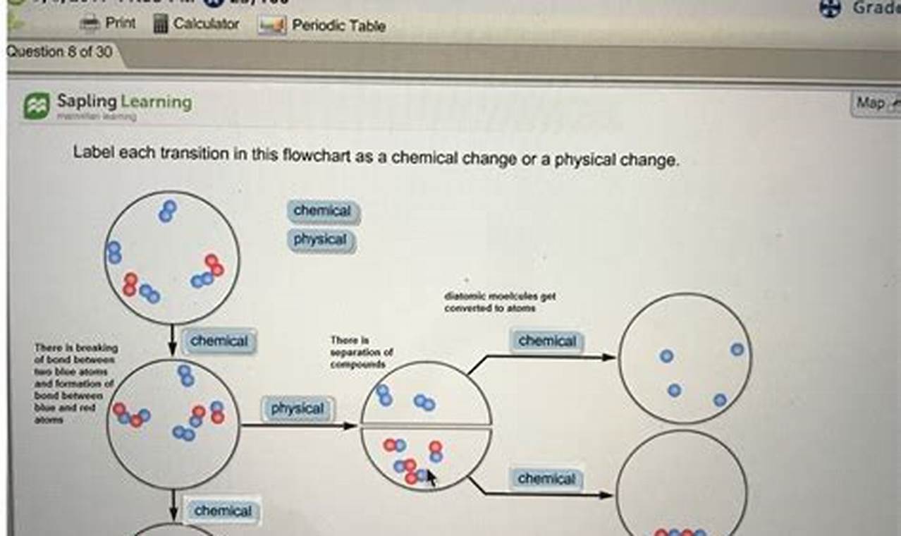 Understanding Chemical & Physical Change Flowcharts