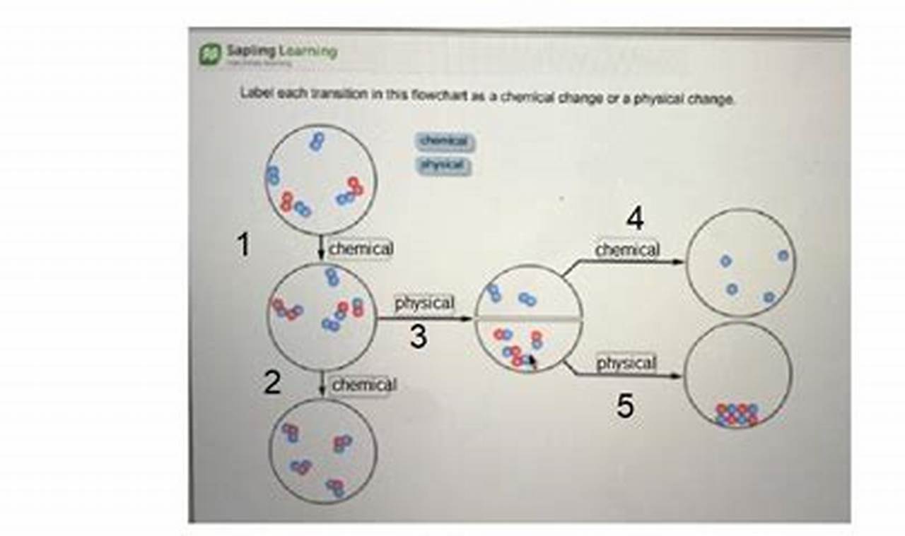 Understanding Chemical & Physical Changes Flowchart