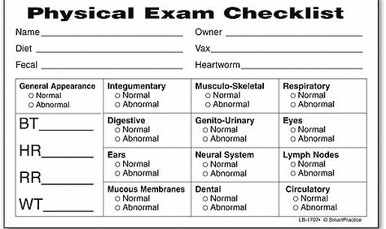 Complete Veterinary Physical Exam Checklist Guide