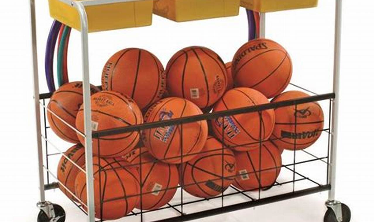 Best Physical Education Carts & Storage