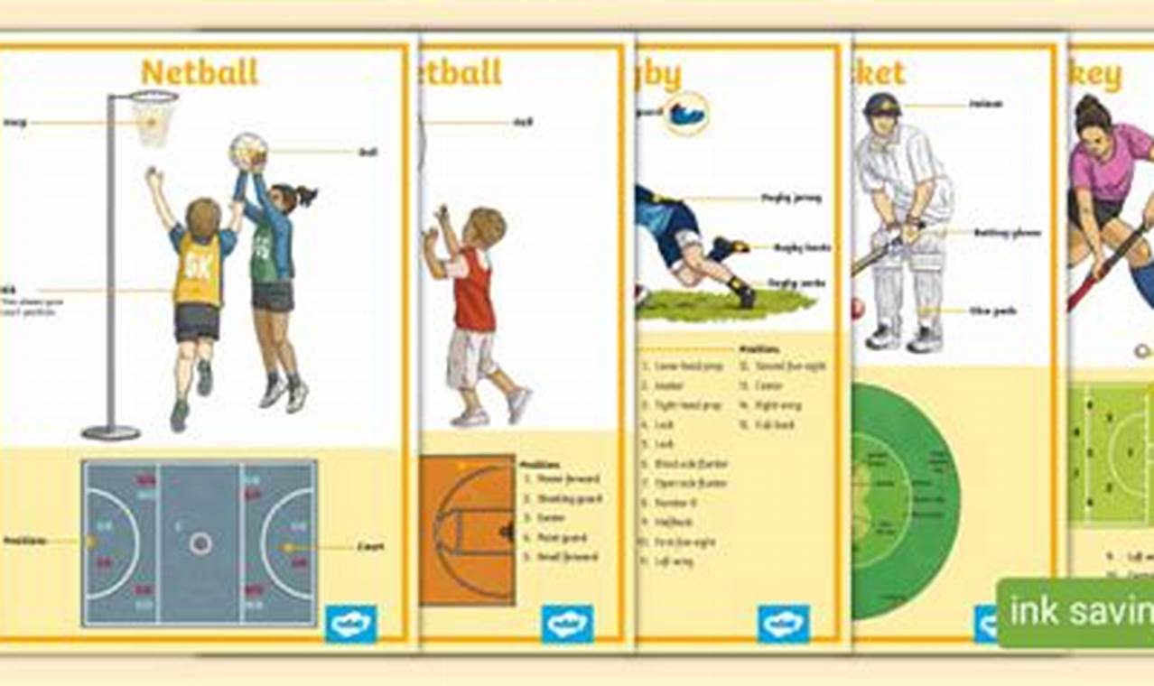 Essential Physical Education Equipment List & Guide
