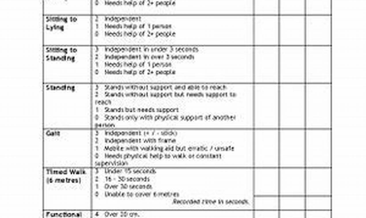 Assessing Physical Mobility Scale Effectiveness